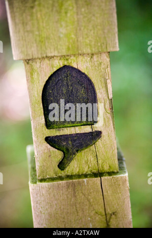 The Acorn symbol of the National Trails of England Stock Photo - Alamy