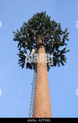 mobile phone antenna tower shaped like a tree Stock Photo - Alamy