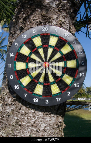 A dart-board on a tree trunk Stock Photo - Alamy