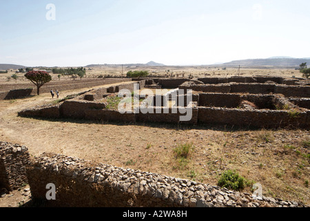 Queen of Sheba s Palace stone walls enclosure with cactus tree in Aksum ...