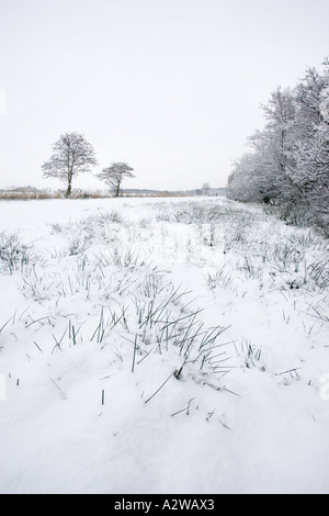A winter scene with snow in a Norfolk churchyard Stock Photo - Alamy