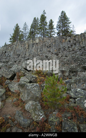 Columnar cooling joints, Sheepeater Cliff, Yellowstone National Park ...