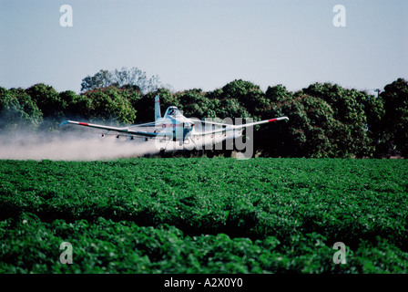 Crop duster flying at low level to spray banana plantation. Tully ...