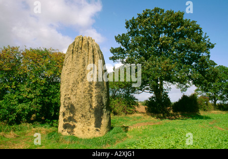 Devil's Arrows, Boroughbridge, North Yorkshire, England, UK Stock Photo ...