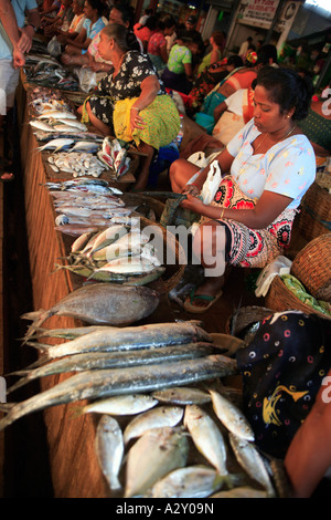 INDIA NORTH GOA THE CALANGUTE FISH MARKET Stock Photo - Alamy