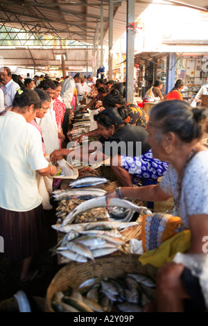 INDIA NORTH GOA THE CALANGUTE FISH MARKET Stock Photo - Alamy
