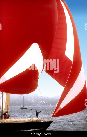 Sailing on San Francisco Bay California USA Stock Photo - Alamy
