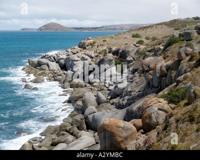 Victor Harbor and Encounter Bay seen from the bluff at Rosetta Headland ...