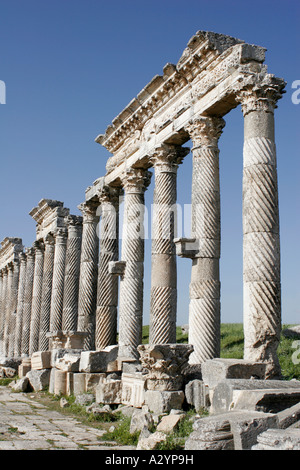 Roman town Apamea, Syria Stock Photo - Alamy