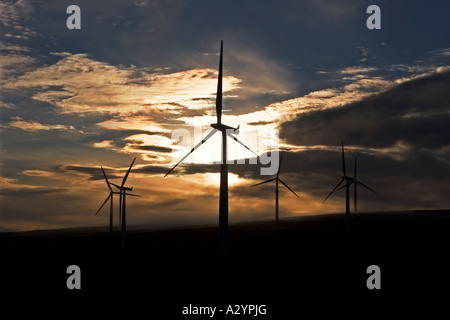 Wind power turbines at dawn, Farr Wind Farm, Inverness, Scotland UK ...