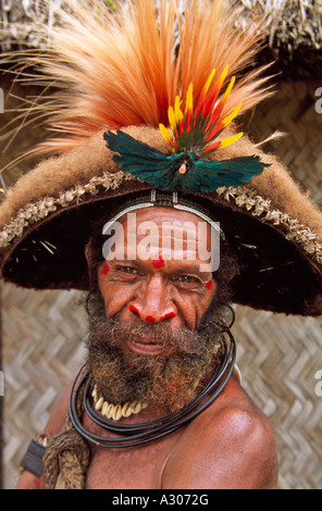 Portrait of a Huli wigman Tari Southern Highlands Papua New Guinea ...
