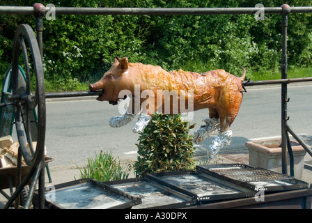 Pig Roast - Hog skewered on a Rotisserie Spit and rotating and roasting ...