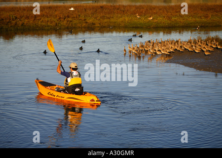 Upper back bay in Newport Beach California landscape on a sunny spring ...