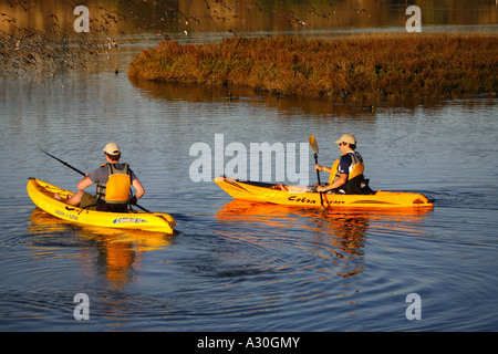 Kayaking In The Newport Back Bay Newport Beach Orange County California ...