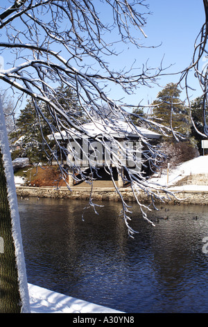Winter in Naperville. Trees Stock Photo - Alamy