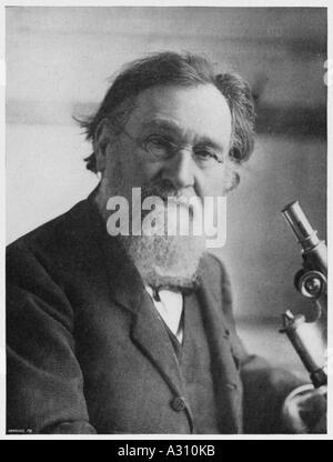 Ilya Ilich Mechnikov ( Elie Metchnikoff 1845-1916) Russian zoologist ...
