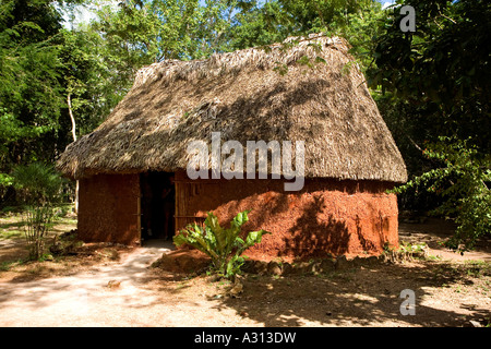 Traditional thatched house / hut with palapa roof of indigenous Maya ...