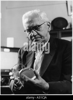 Alexander Fleming (1881-1955), at laboratory table. Painting by Dean ...