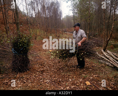 Bill Hogarth making besoms brooms out of birch branches Cumbria England ...
