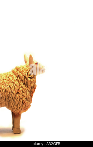 Sheep Rear End on White Background Stock Photo - Alamy