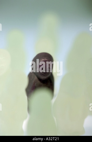 jelly babies one black jelly baby amongst a group of white Stock Photo ...