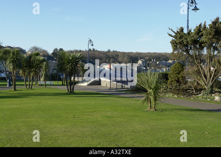 Discreetly made flood defences amongst palm trees along the seafront in ...