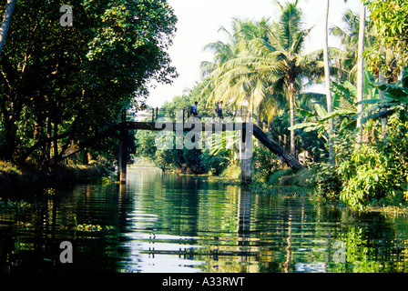 THE BACKWATERS OF KAVALAM IN ALAPPUZHA KERALA Stock Photo - Alamy