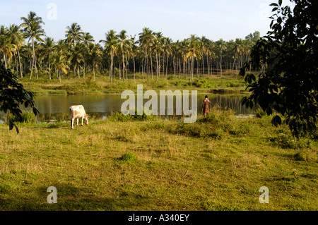 VILLAGE LANDSCAPE OF TRIVANDRUM DISTRICT Stock Photo - Alamy