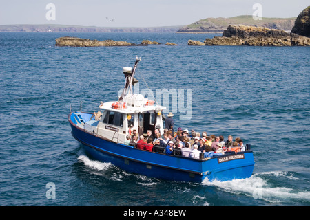 The Dale Princess taking Visitors to Skomer Island Pembrokeshire West ...