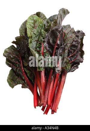 Red Swiss chard vegetable garden red petioles Stock Photo - Alamy