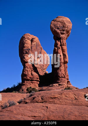 Garden of Eden weathered sandstone monoliths with gnarled Juniper tree ...