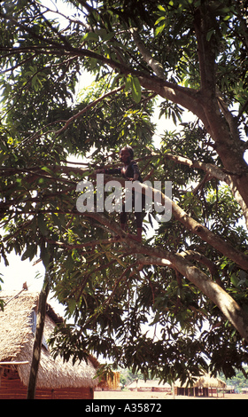 A Ukre village Brazil Kayapo child with black body paint and blue beads ...