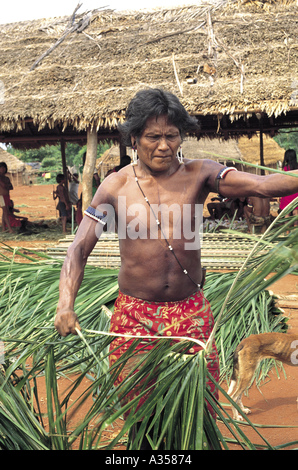 A Ukre Village Brazil Kayapo man cooking manioc Manihot esculenta ...