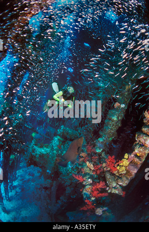 Female scuba diver inside the wreck of the SS Dunraven, Red Sea, Egypt ...