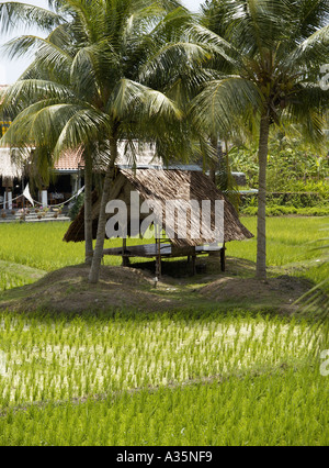 Laman Padi Rice Museum - Langkawi is part of Kedah, a state known for ...