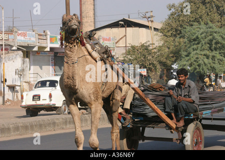 Camel cart, Ahmedabad, Gujarat, India Stock Photo - Alamy