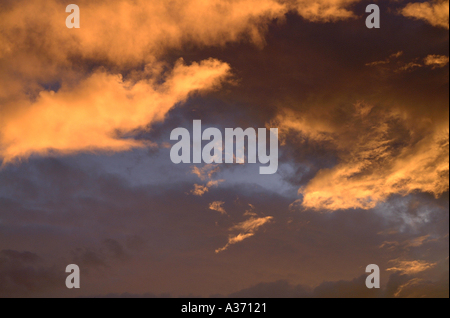 Night Sky at Waren Mill Northumberland Stock Photo - Alamy