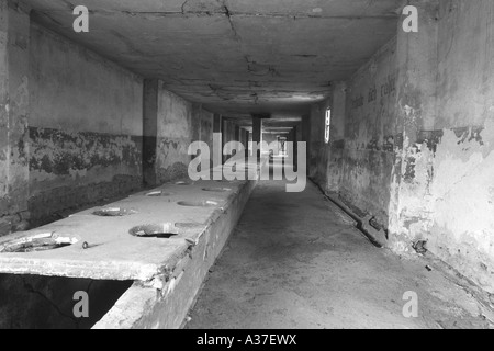 Toilet block, Auschwitz Birkenau, concentration camp, death camp ...