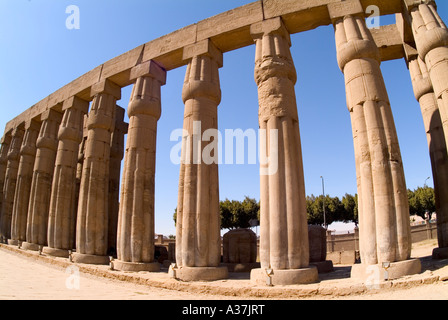 Hypostyle hall of Amenophis III 32 papyriform columns Luxor Temple ...