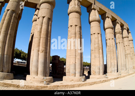 Hypostyle hall of Amenophis III 32 papyriform columns Luxor Temple ...