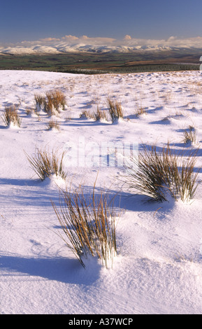 Winter landscape Sanquhar with snow topped Lowther Hills behind Upper ...