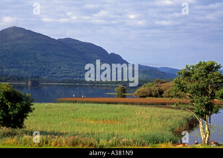 Looking towards Torc Mountain over Castle Bay, Lough Leane, County ...