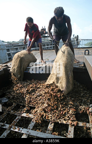 Copra ready for processing at CPL, Rabaul, East New Britain, Papua New ...