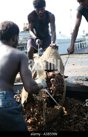 Copra ready for processing at CPL, Rabaul, East New Britain, Papua New ...