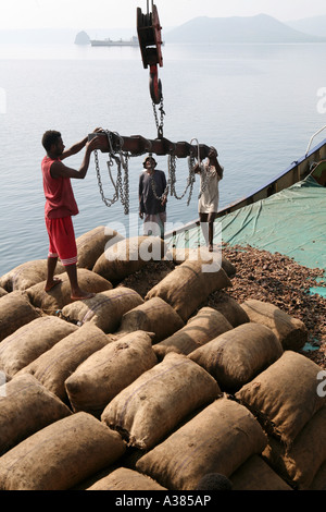 Men unloading sacks of copra ready for processing at CPL, Rabaul Stock ...