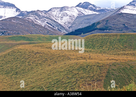Reclaimed coal strip mine land Stock Photo - Alamy