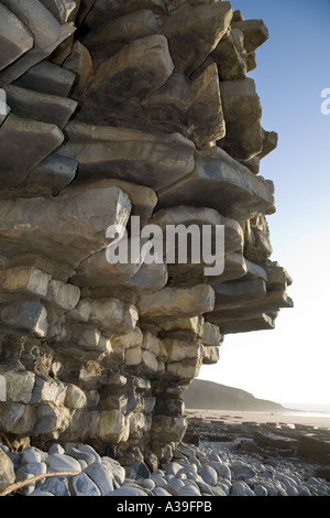 A highly stratified limestone and shale sea cliff in warm evening light ...