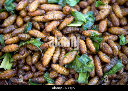 Fried silk worms at a Thai market Stock Photo: 80406192 - Alamy