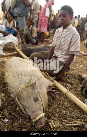 Local market in Maliana, East Timor Stock Photo - Alamy
