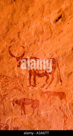Painted domestic cows rock art in the Akakus Mountains Sahara Desert ...